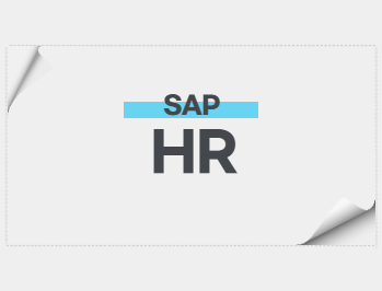 SAP HR 퇴직연금 외부운용기관 세팅(IMG) - 끊임없이 진화하라..